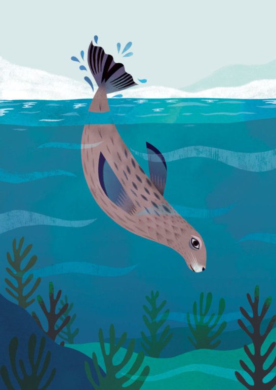 Endangered: The big problems facing the small Caspian seal