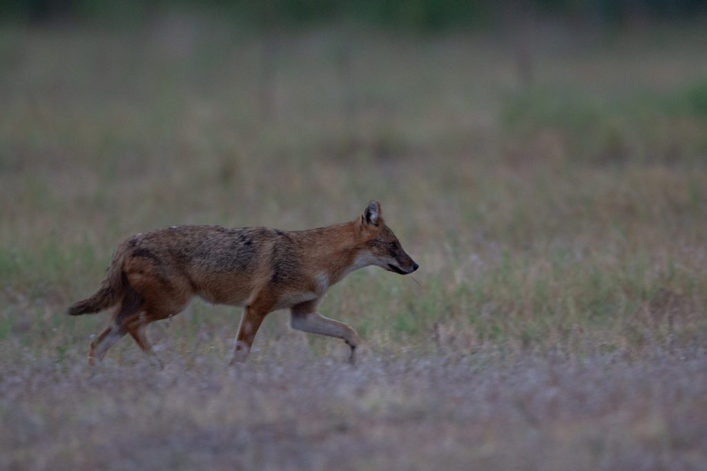 Greek Odyssey: James Parry travels to the wild north of Greece
